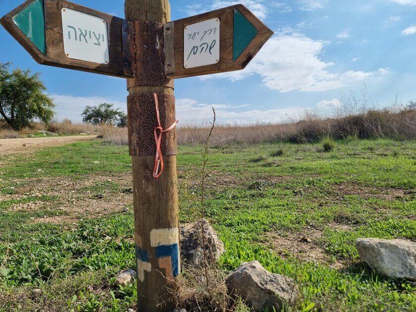 Shoham forest park - יער שהם » ifreecamp ~ Camping in Israel ~ Free Map